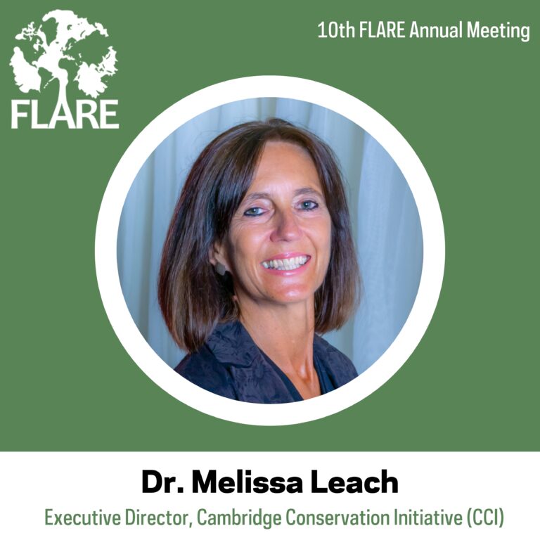 The FLARE Flyer | Vol.1 Issue 2 – FLARE